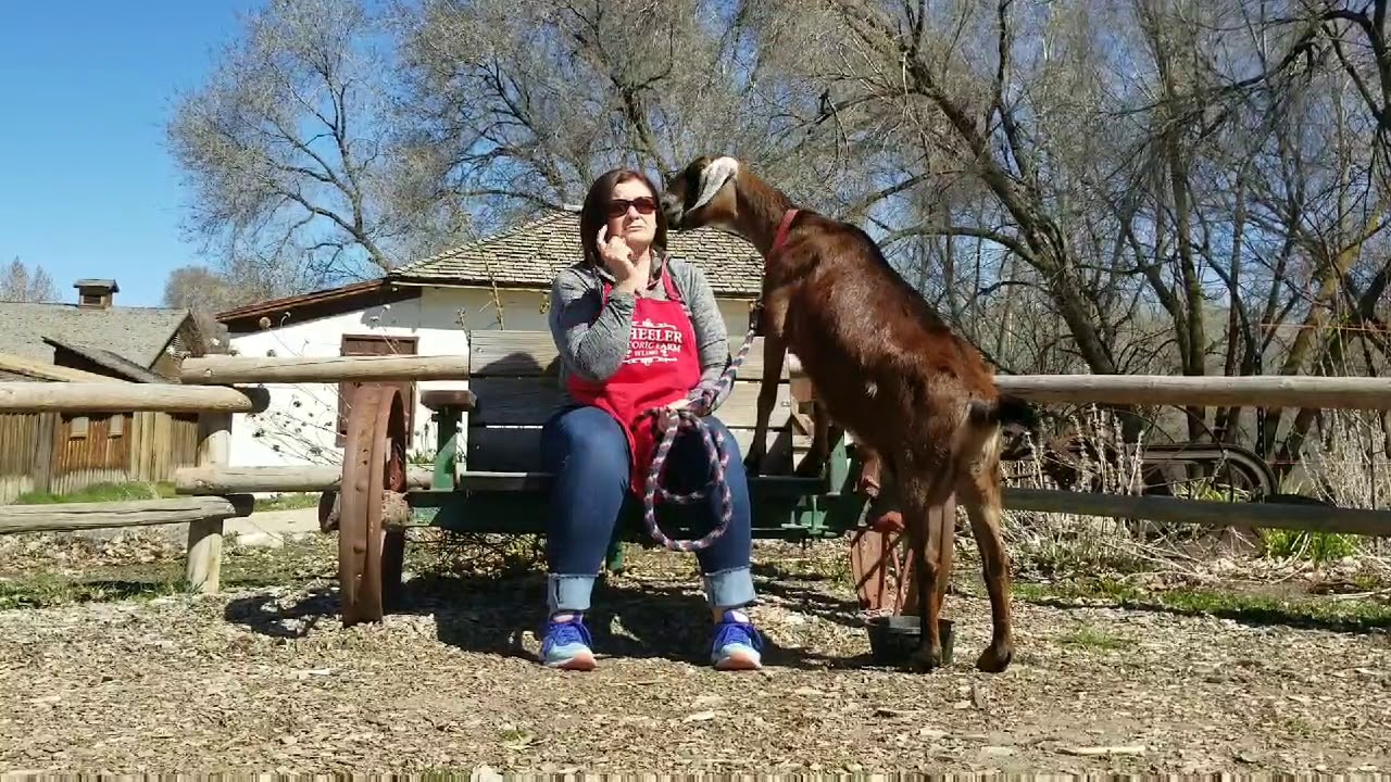 Goat Chat with Raegs - YouTube