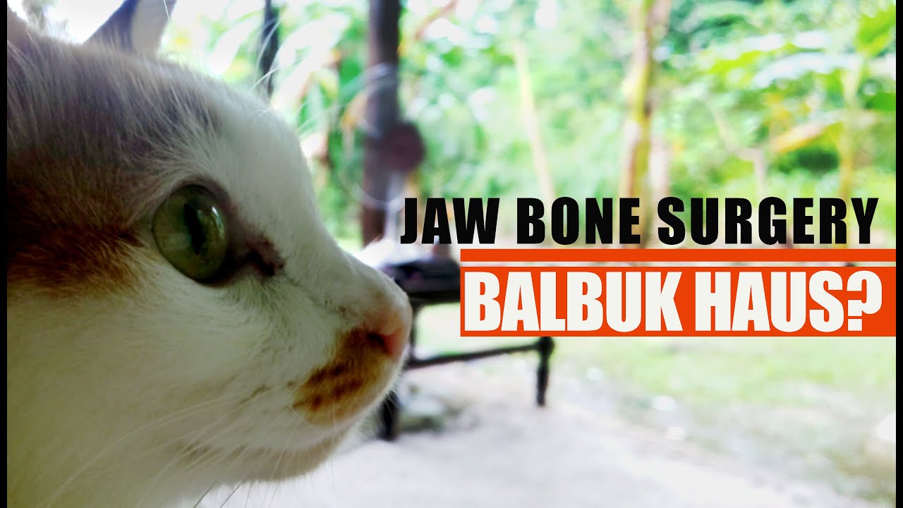 Jaw Surgery dan Tempat Makan Countryside di Balbuk Haus Perlis Malaysia ...