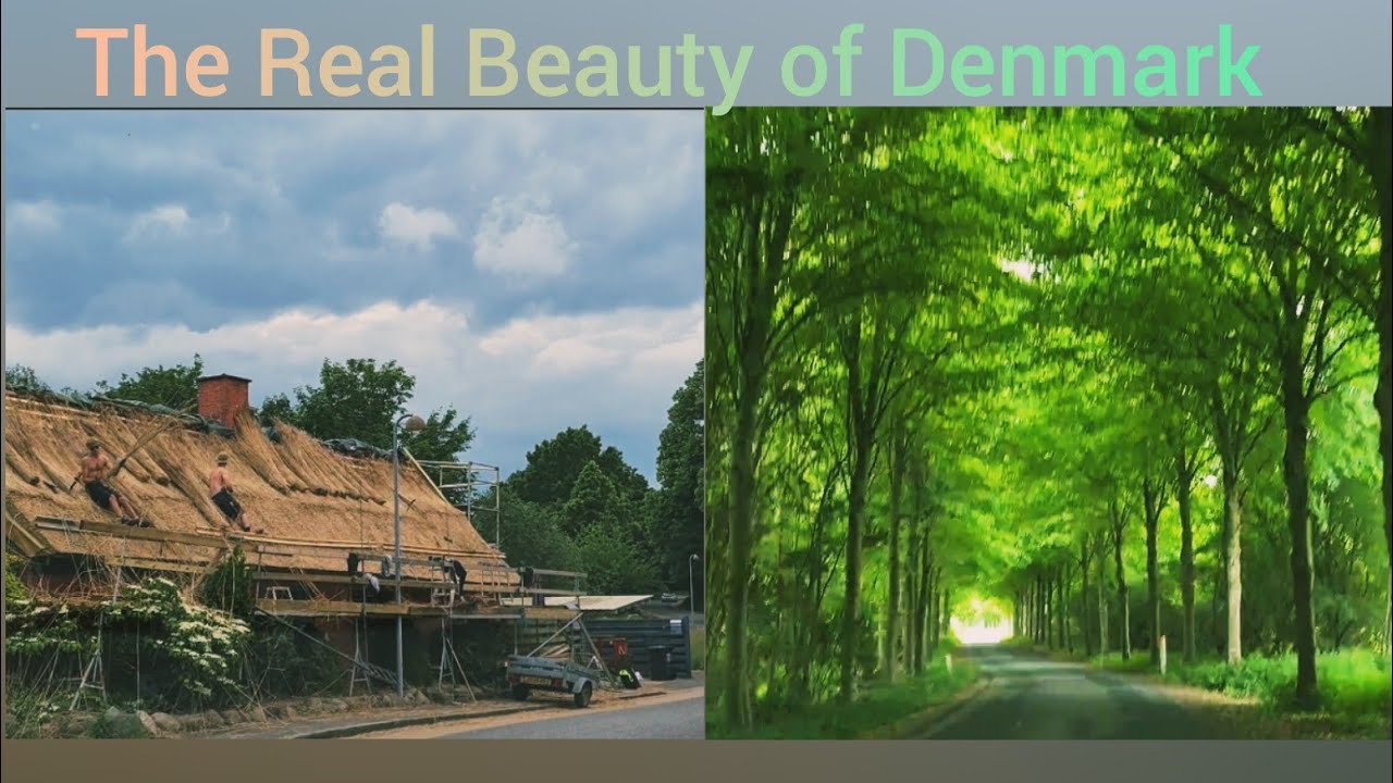 The Real Beauty of Denmark🇩🇰 Scenic Drive| Danish Summer|Almir Jan| # ...