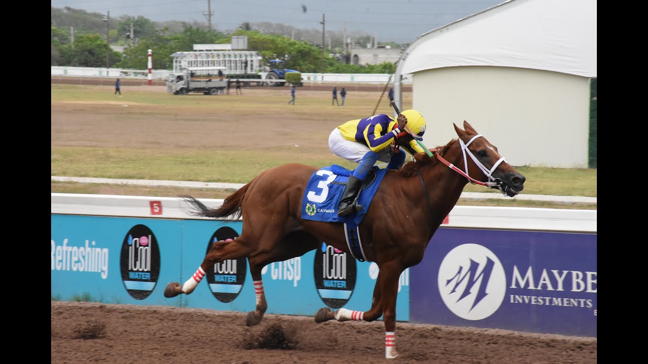 JAMAICA RACING: One Like It Delivers In Sun, April 14, 2024, 7th - YouTube