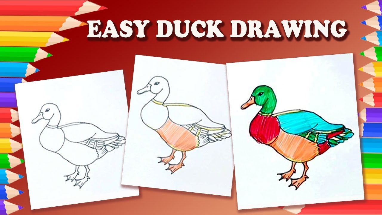 How to Draw a Colorful Duck Step by Step | Easy Duck Drawing for ...