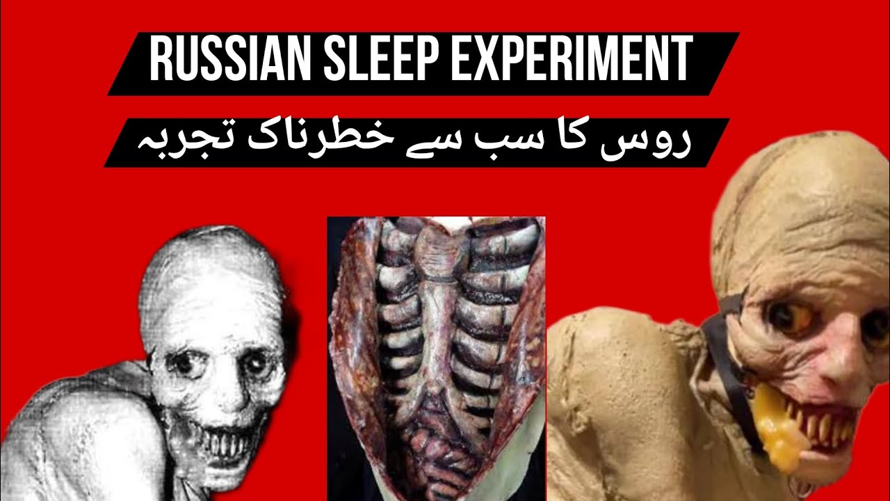 Russian sleep experiment. The history's most horrific experiment. # ...