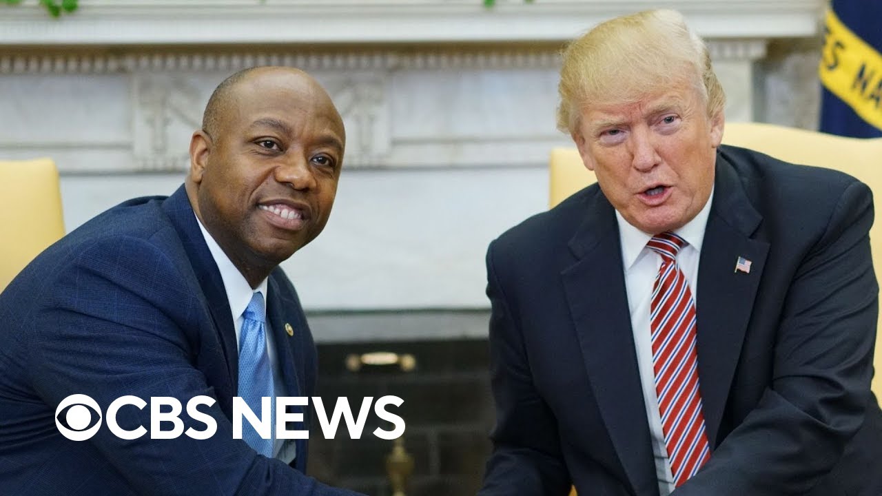 Sen. Tim Scott endorsing Donald Trump for 2024 presidential election ...
