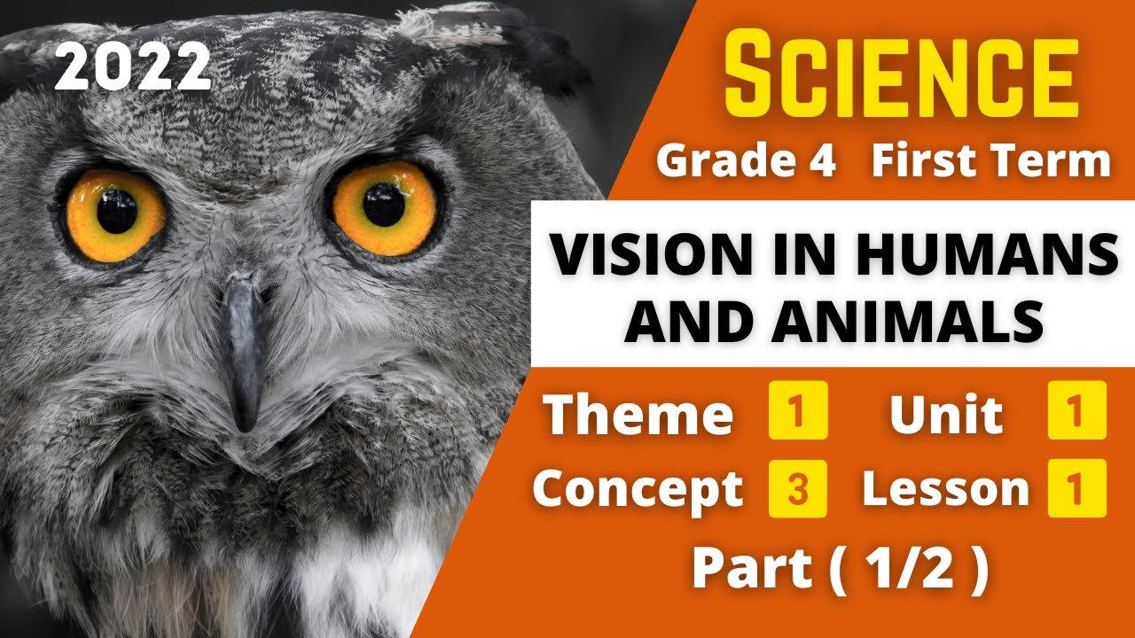 SCIENCE | Grade 4 | Vision in humans and animals #1 | Unit 1 - Concept ...