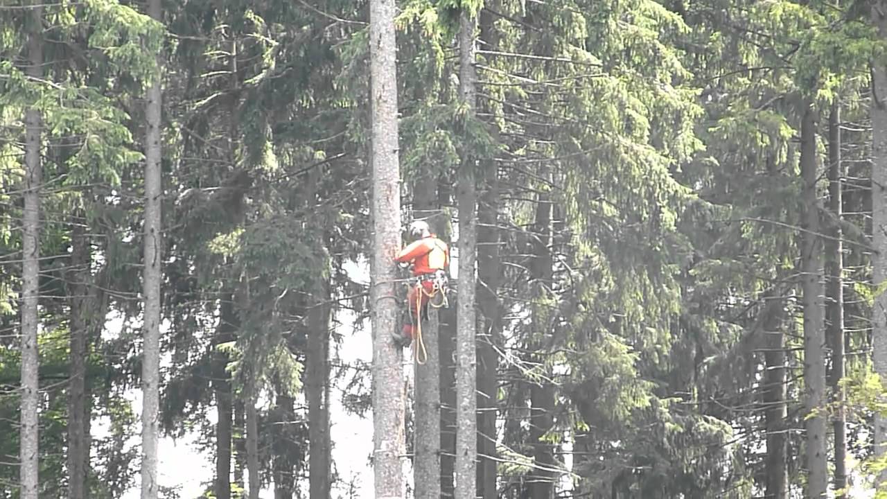 Heli logging! - YouTube