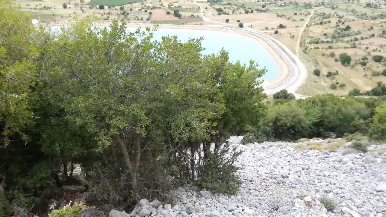 ξεφωλιασμα και επιστροφη λαγου - YouTube