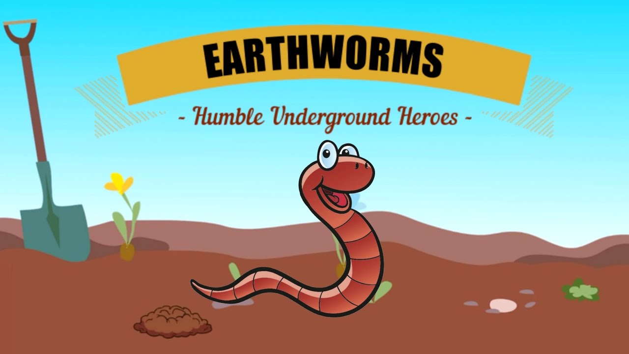 Earthworms Underground Heroes Why Are Earthworms Important The earthworms-underground-heroes-why-are-earthworms-important-the