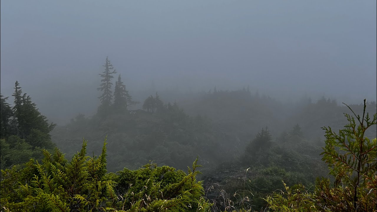 Sitka Blacktail Deer Hunting | Ketchikan Alaska - YouTube