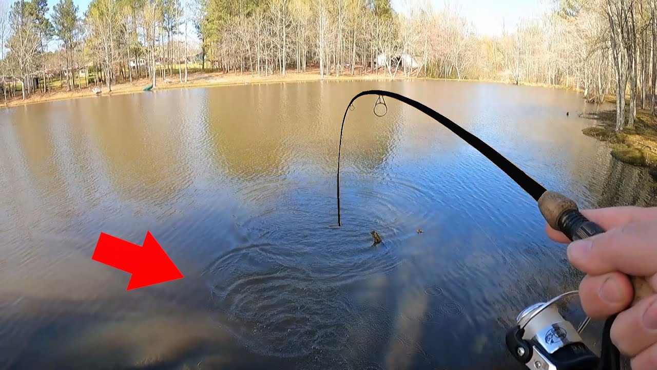 Absolute SLAB Crappie Caught from This TREE! - YouTube
