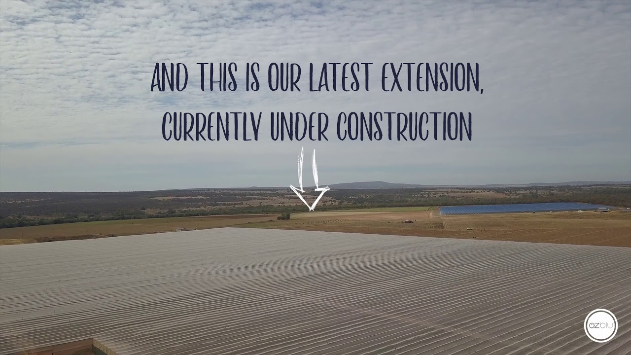 Metsi Berries | South Africa - YouTube