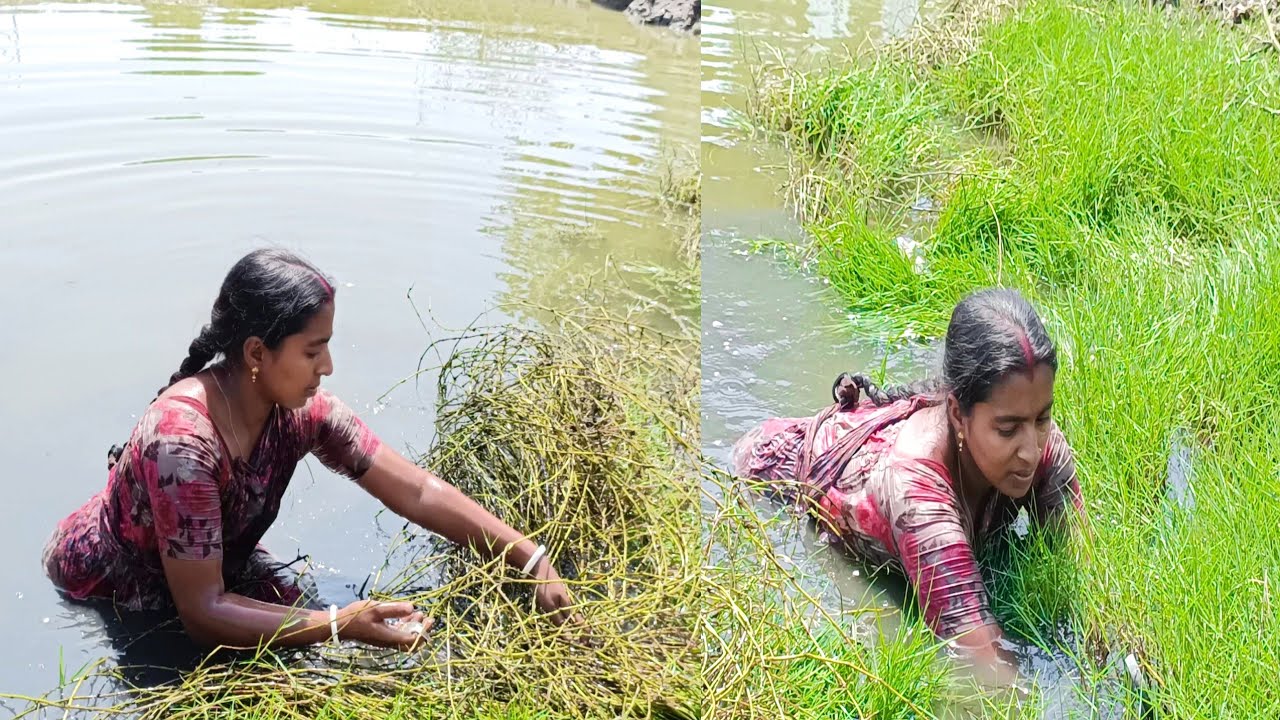 Amazing Hand fishing - best catching fish With a hand fishing ...
