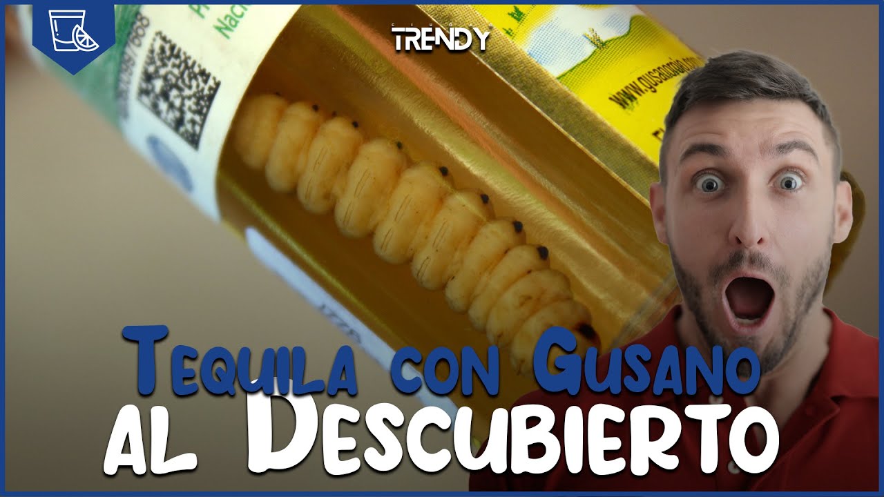 🐛 ¡Tequila con Gusano al Descubierto! - YouTube