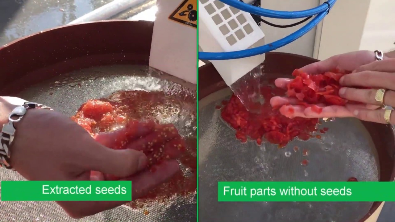 Tomato Seed Extraction Machine / tomato biu chhutaune machine in Nepal ...