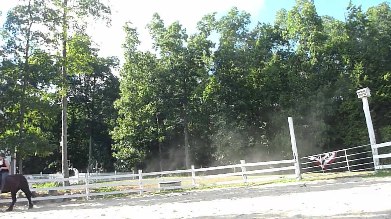 bareback and some tackless - YouTube