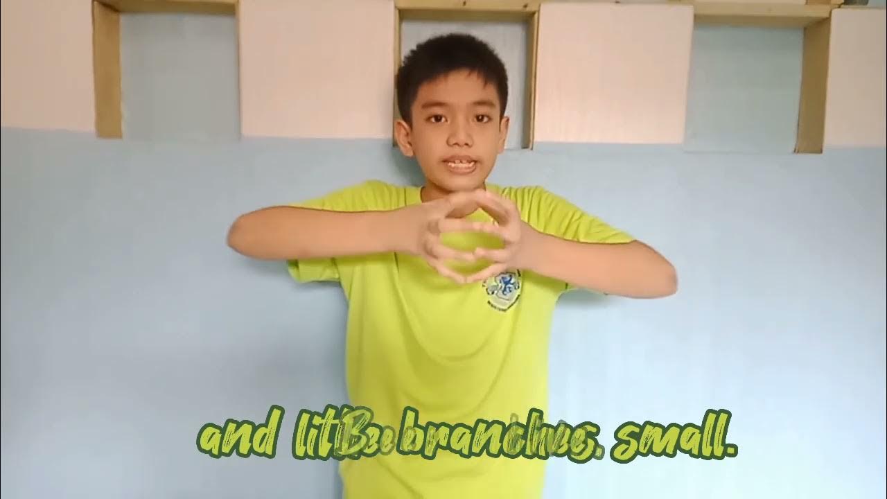 "I am a tree" by: Nancy Kopman - YouTube