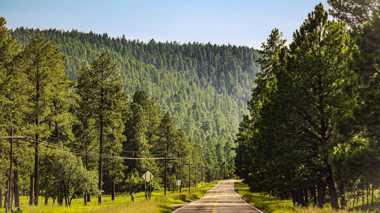 Ruidoso to Cloudcroft | NM-244 | Serene Drive | 4K - YouTube