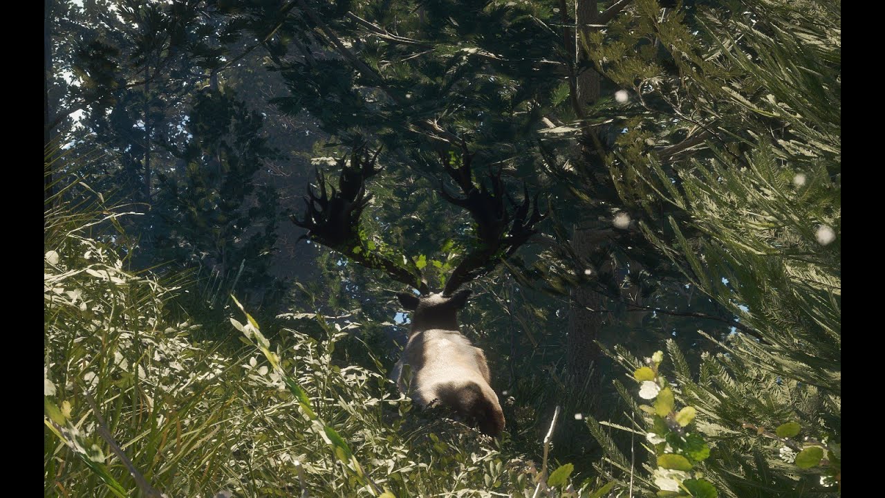 Great One Red Deer #5 TheHunter: Call of the Wild - YouTube