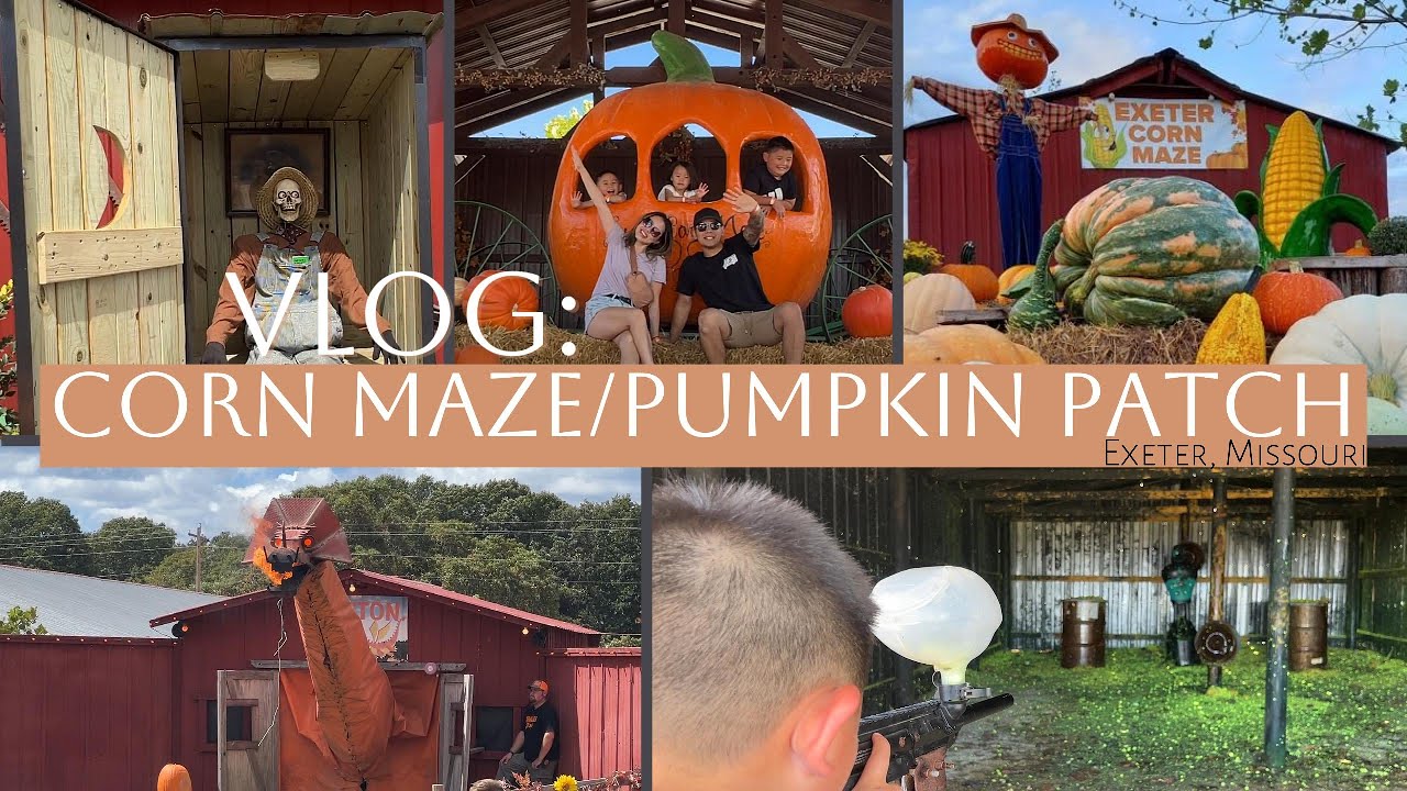 Vlog: Exeter Corn Maze/Pumpkin Patch - YouTube