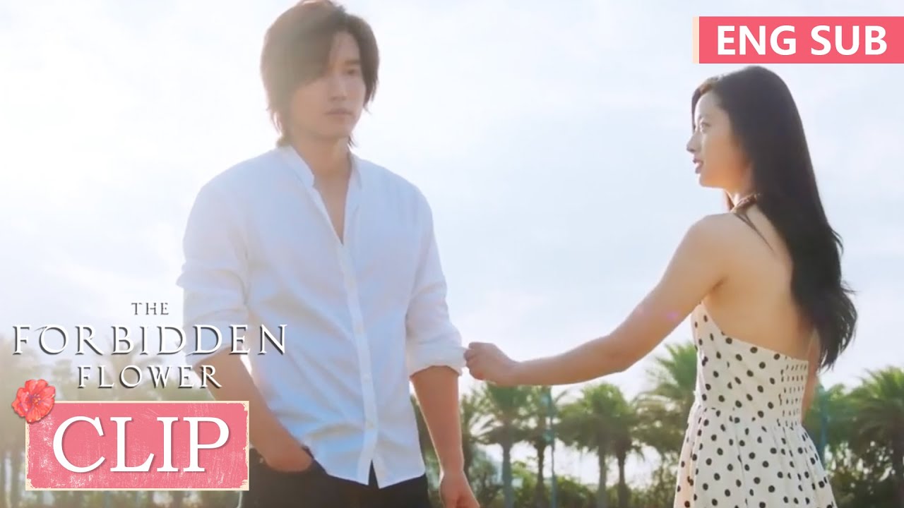 何冉精心打扮去赴约,竟遭萧寒拆穿谎言! 《夏花 The Forbidden Flower》精彩片段 Ep04 Eng Sub Youtube