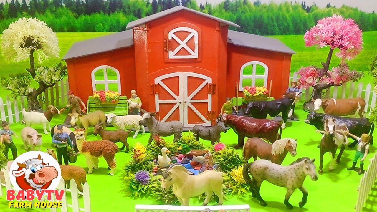 CUTE ANIMALS Cow, Horse, Donkey, Sheep, Goat, Alpaca , New Barn Farm ...