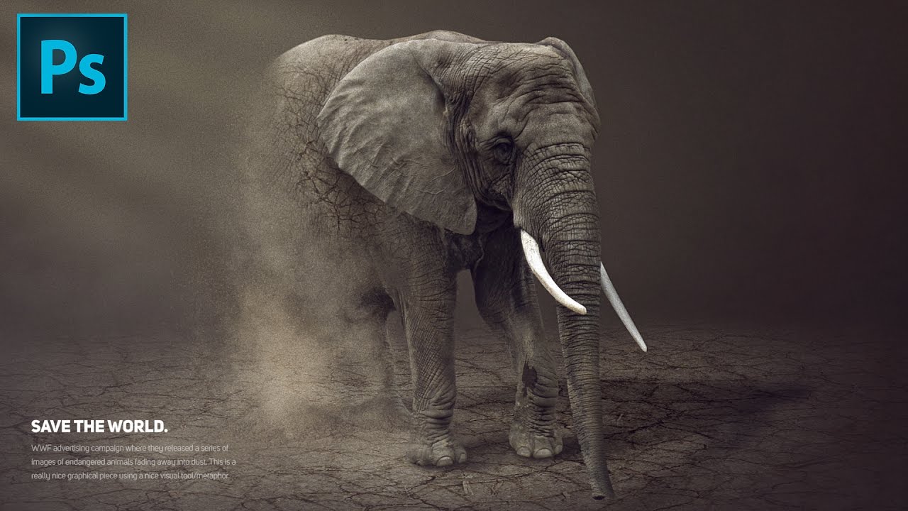 Photo Manipulation Tutorial - How to Make a Vanishing Elephant ...