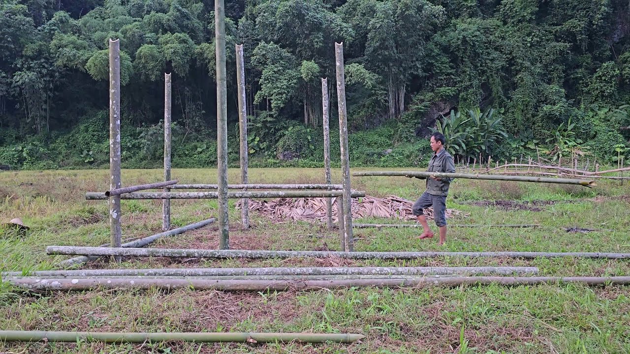BUILD A FARM: COLLECT BAMBOO, BUILD BAMBOO HOUSE P1 | TOAN FARMS - YouTube