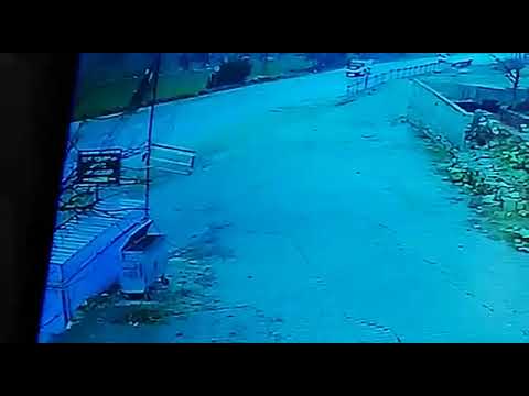 WhatsApp Video 2019 03 12 at 08 40 00 1