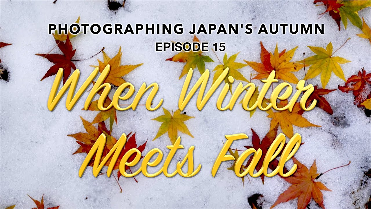 When Winter Meets Fall: Photographing Japan's Autumn Episode 15 (Final ...