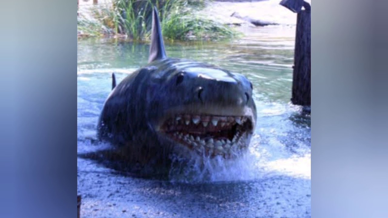 Shark submechanophobia - YouTube