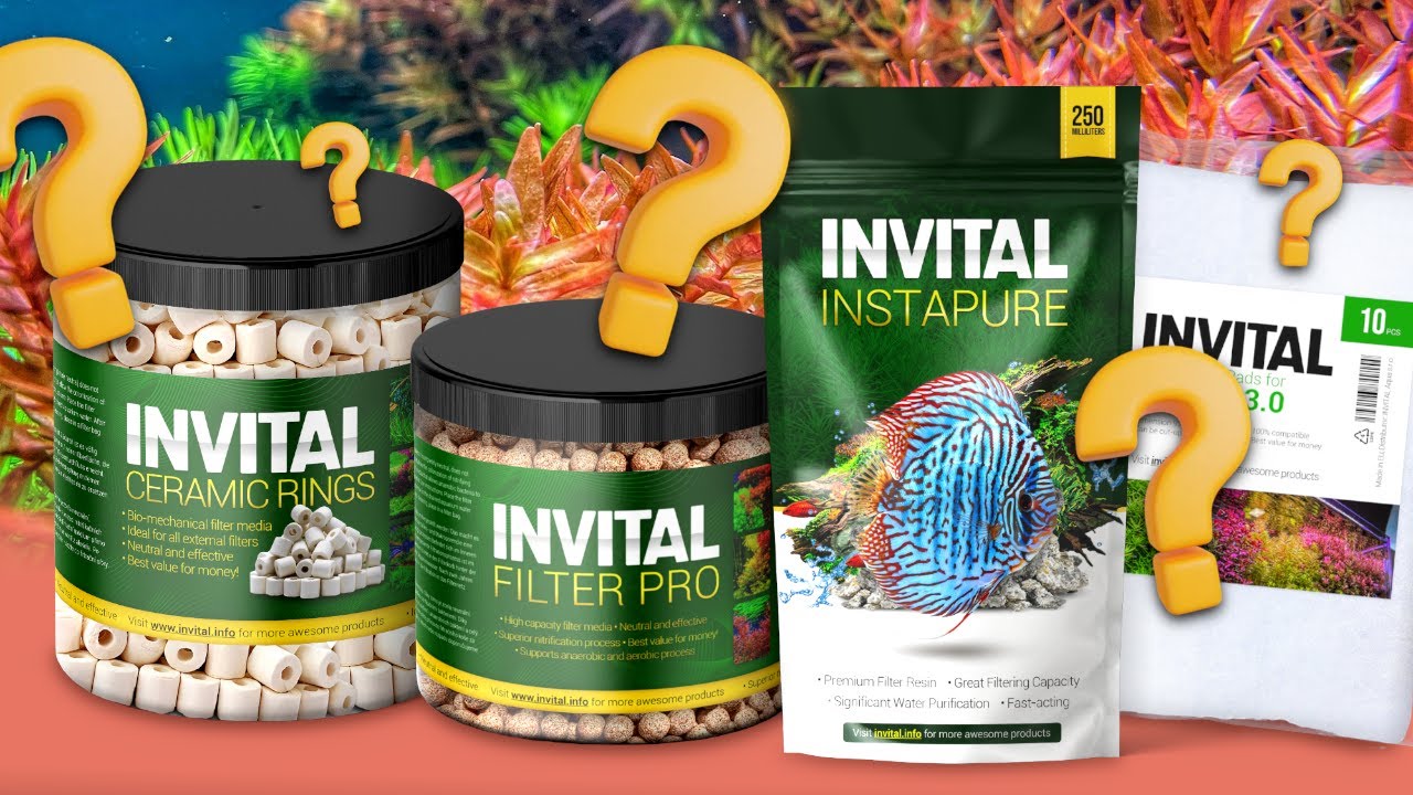 How to choose filter materials for aquarium filters | INVITAL - YouTube