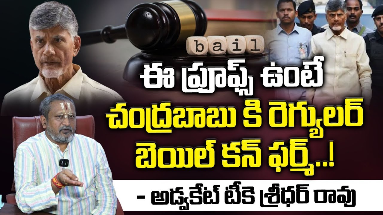 Advocate TK Sridhar Rao About Chandrababu Regular Bail | Red Tv - YouTube