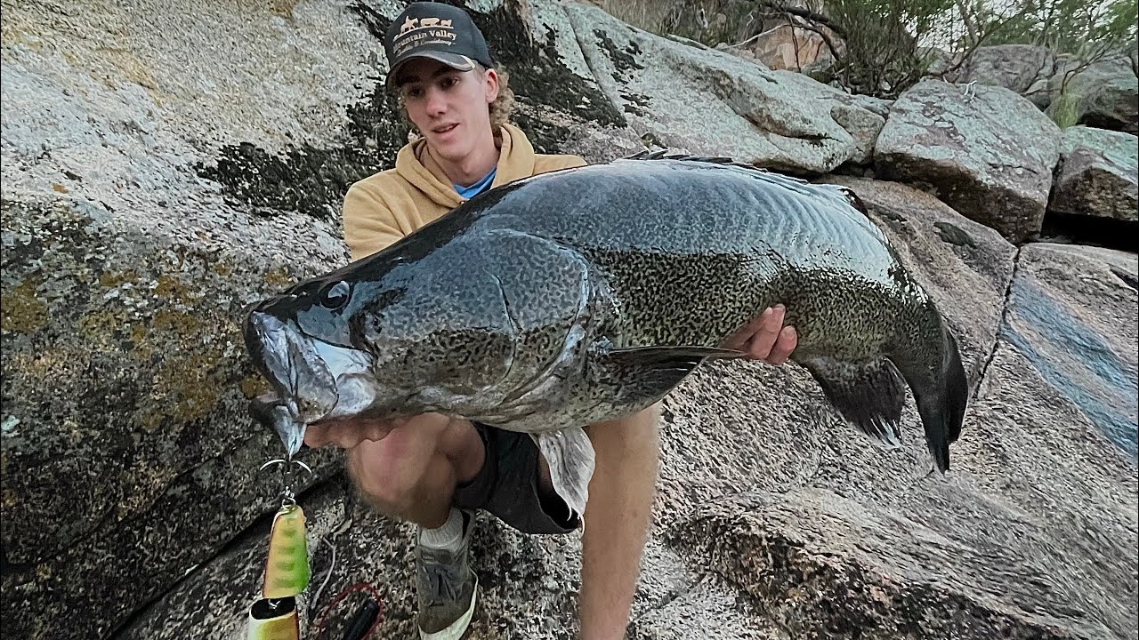 Big cod off the surface opening day. (Murray cod fishing Australia ...