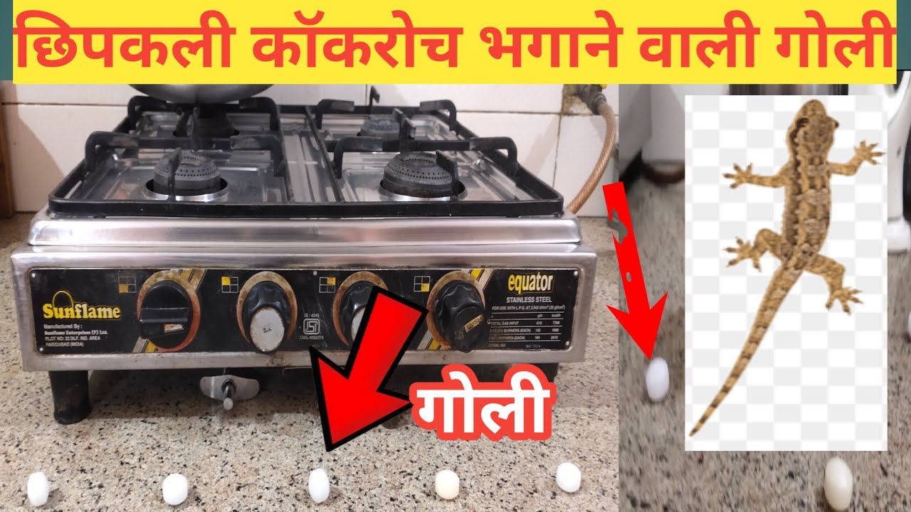 छिपकली कॉकरोच भगाने वाली गोली || Crazy Mintoo Vlogs #viralvideo #trending - YouTube