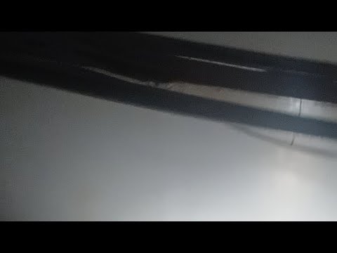 Still Live FLOODY DAT - YouTube