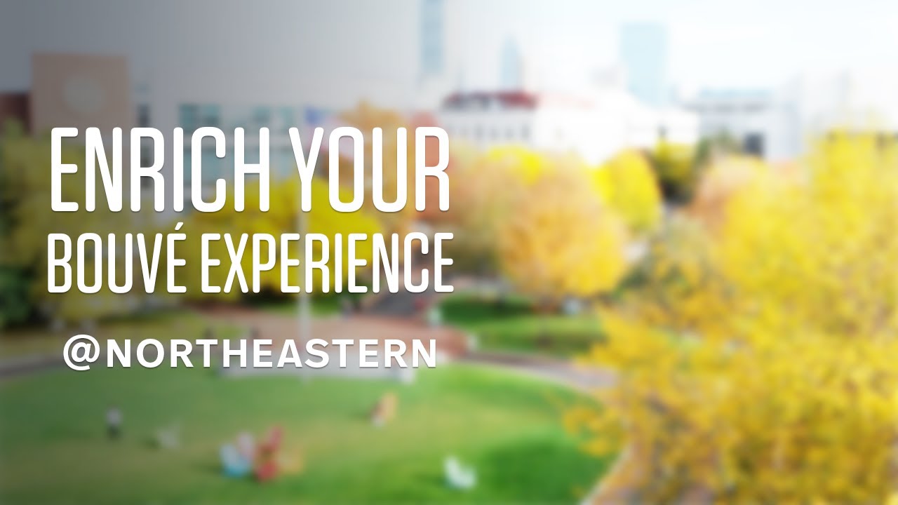 How to enrich your college experience at Northeastern University’s ...