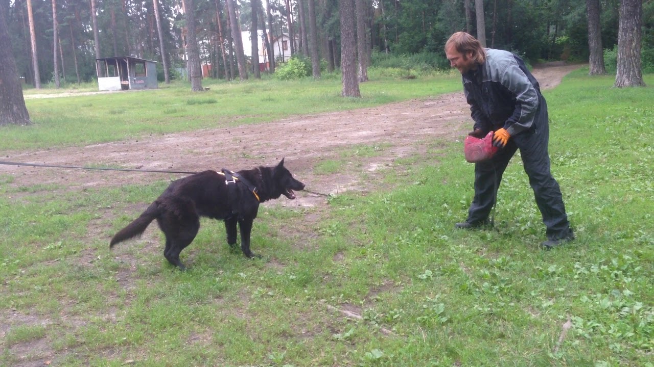 IMG 6140 YouTube img-6140-youtube