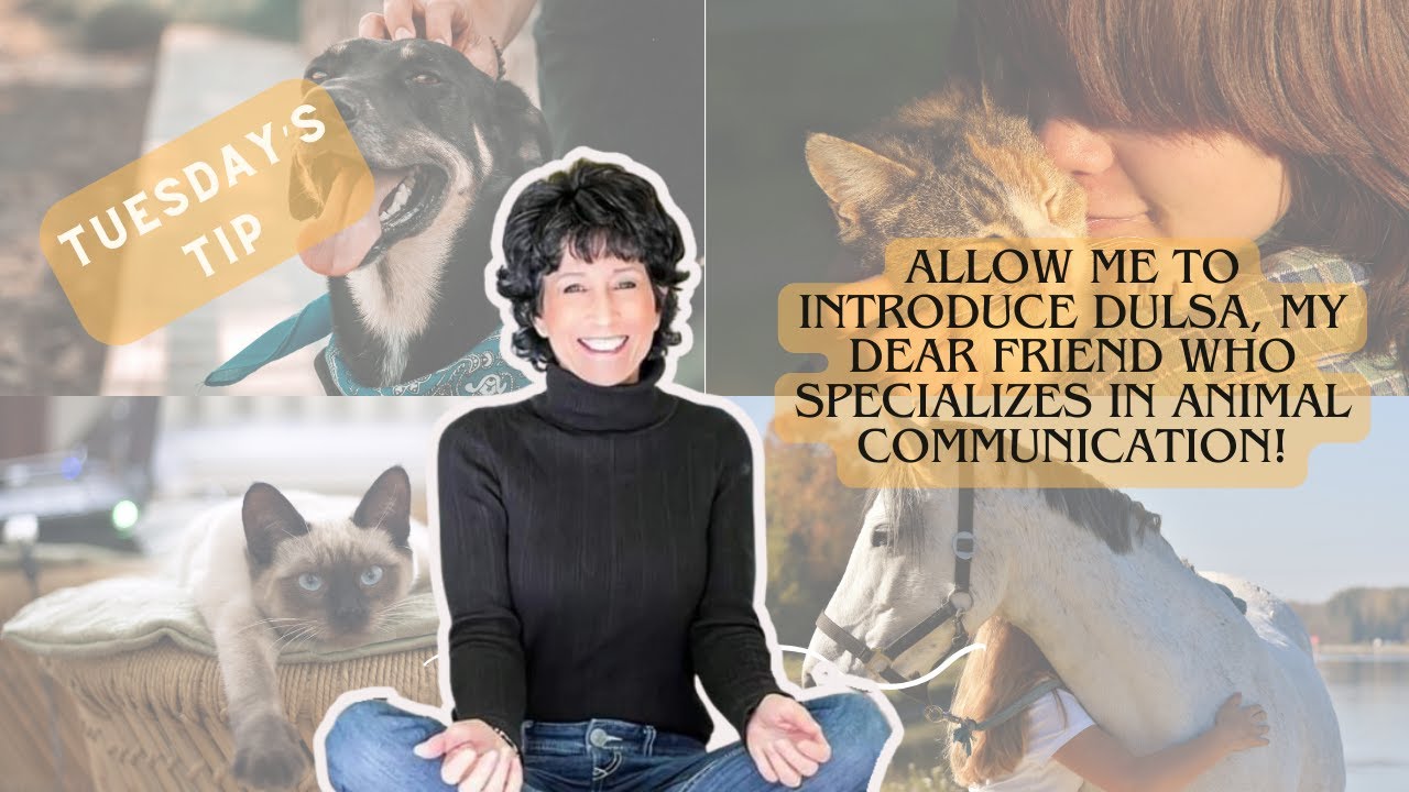 Meet My Friend Dulsa: Animal Communicator | "Love is not an emotion, it ...