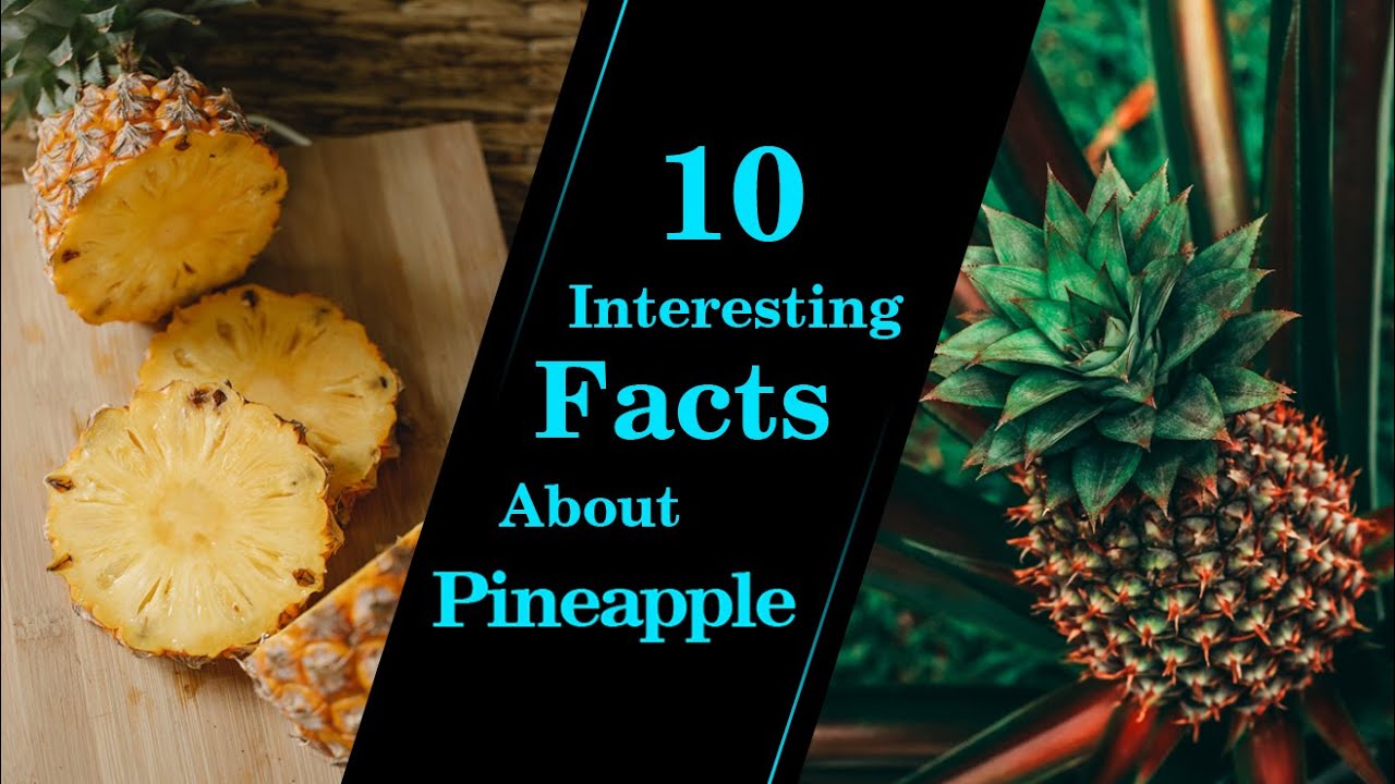 10 Interesting Facts About Pineapple - YouTube