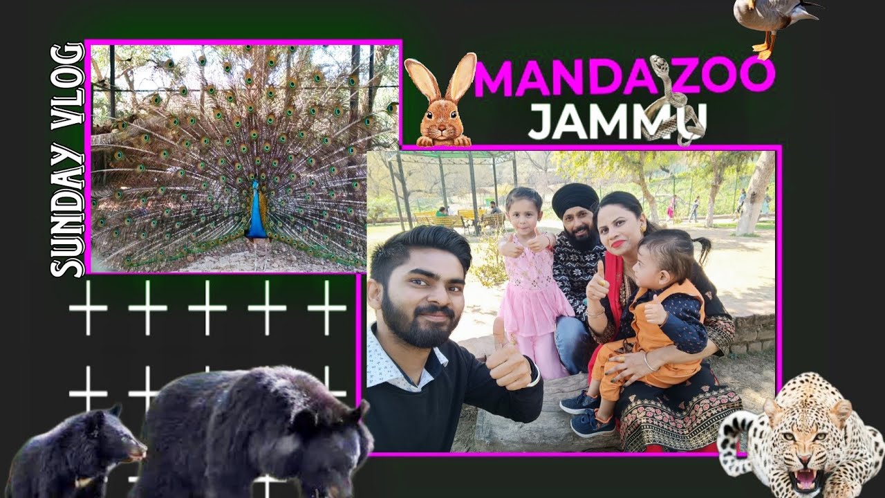 Tour of Manda Zoo in Jammu | Exploring Wildlife | Sunday Vlog - YouTube