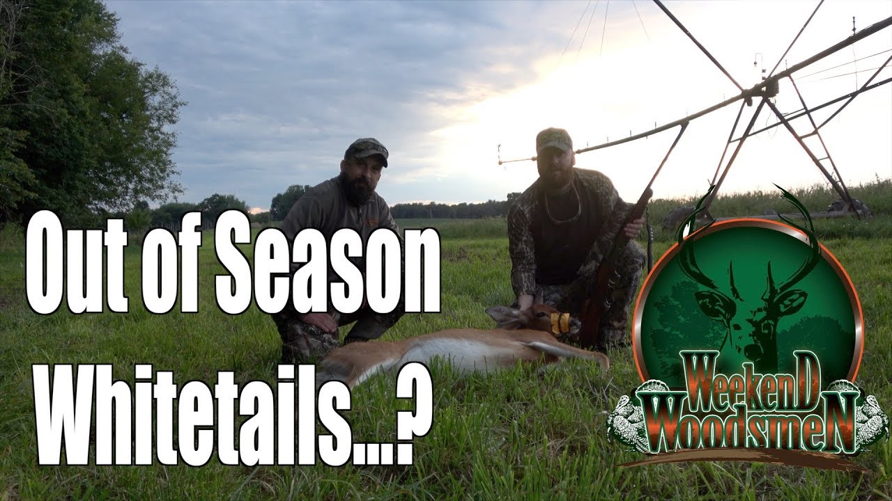 Two Deer Down | Michigan Rifle Hunt | Close up action - YouTube