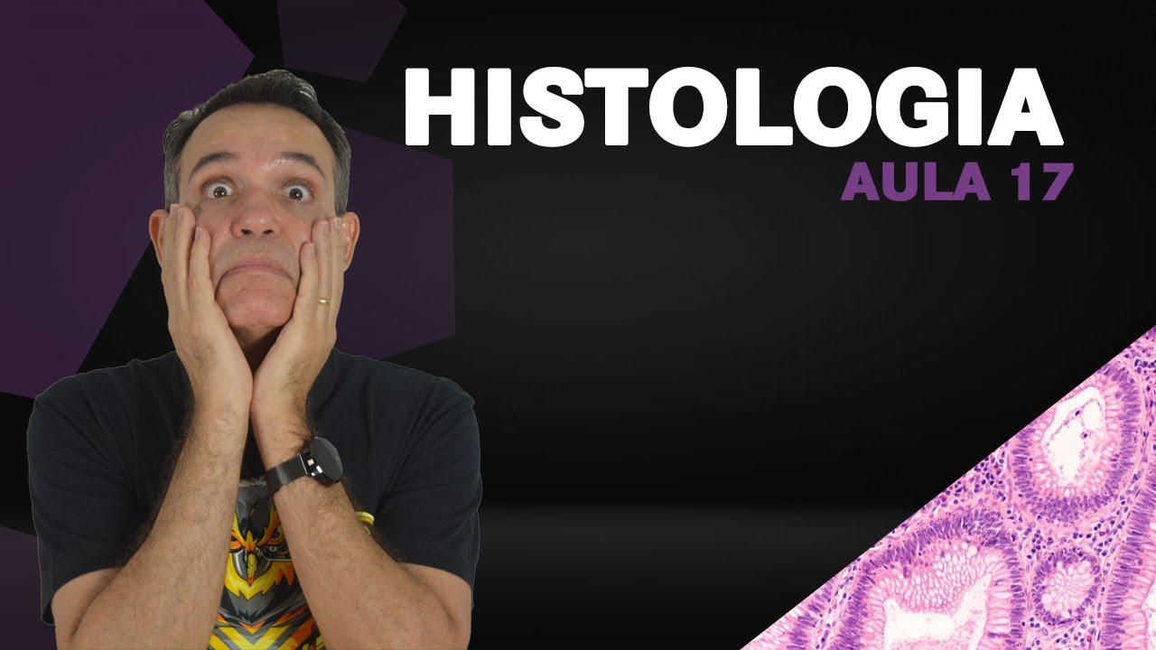 HISTOLOGIA - GLÂNDULA MERÓCRINA, APÓCRINA E HOLÓCRINA - YouTube