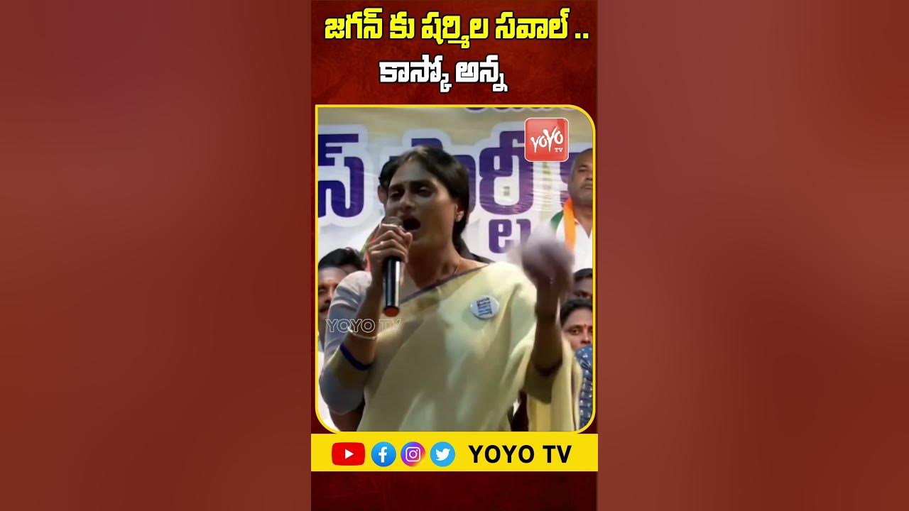జగన్ కు షర్మిల సవాల్ ..కాస్కో అన్న APCC Sharmila Challenge To Jagan | AP News | YOYO TV Channel ...