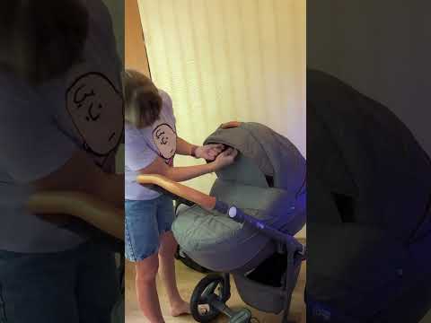 Коляска Адамекс Неонекс - YouTube