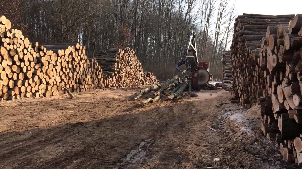 Log slasher in action - YouTube