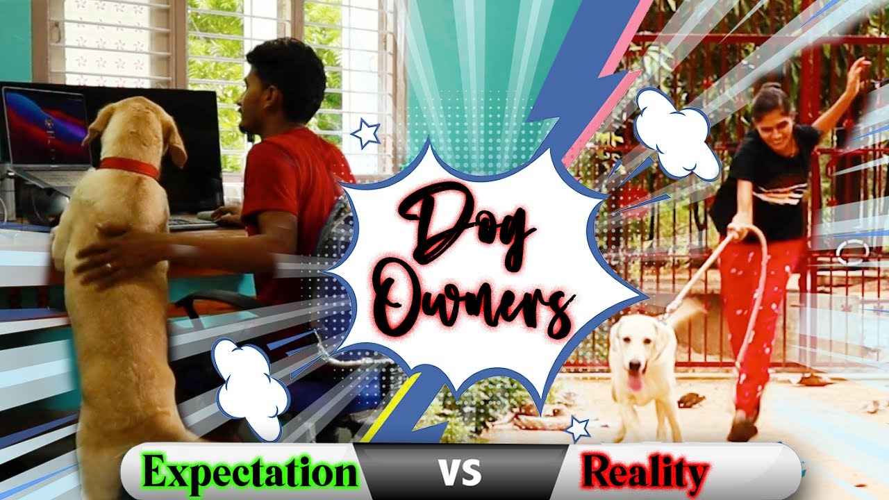 Dog Owners Expection vs Reality 2021 - YouTube