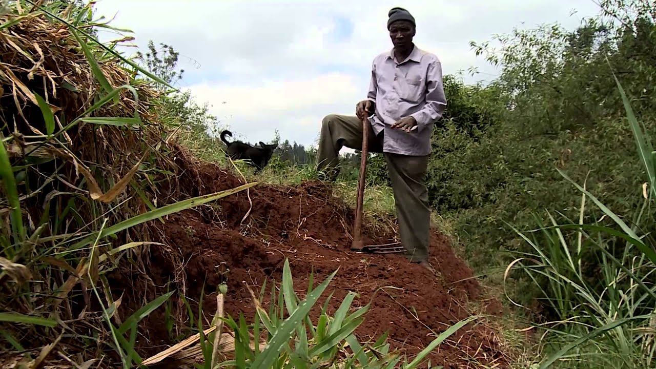 Instructional Video Riparian Zone Protection (dubbed version) - YouTube