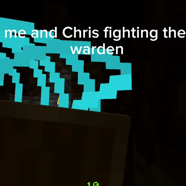 Me and bro fighting the warden - YouTube