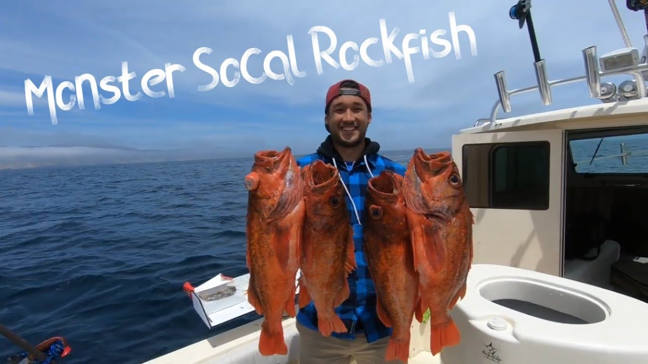 Catching MONSTER SoCal Rockfish - Herb Crusted Rockfish with Pea Puree ...