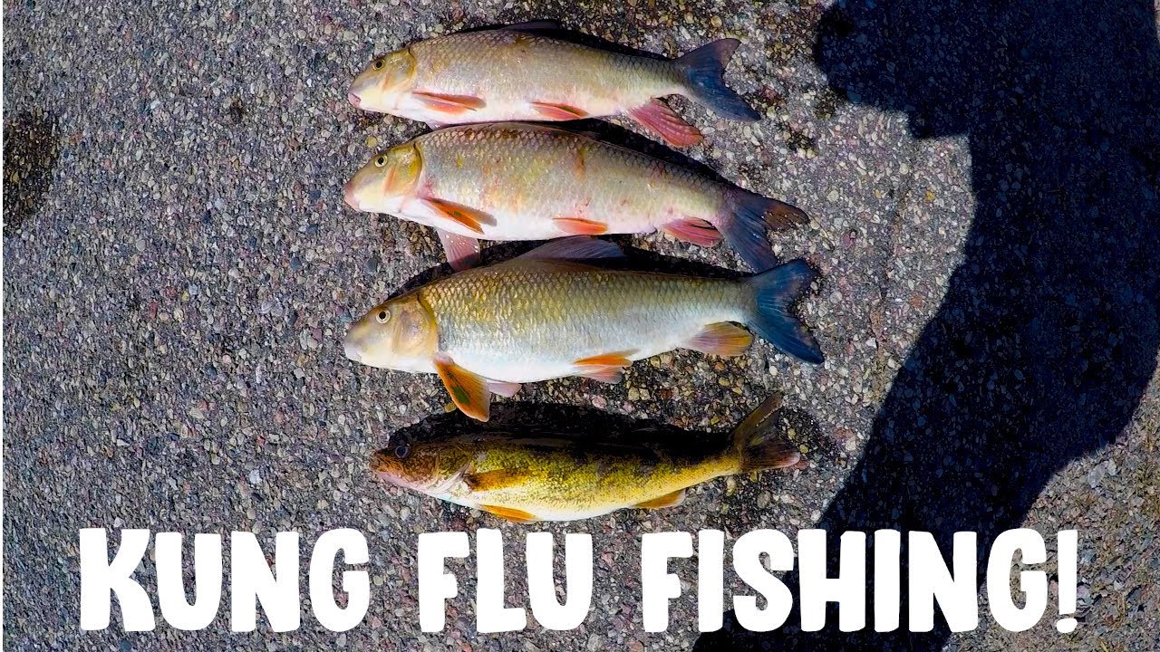 Kung Flu Fishing - YouTube