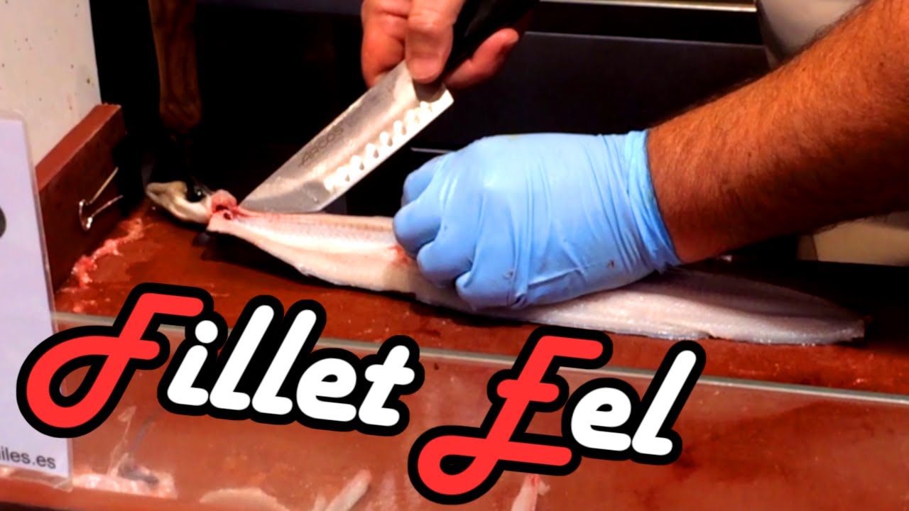 Filleting - Cutting and cleaning of a live Eel - Valenica Fish Market ...